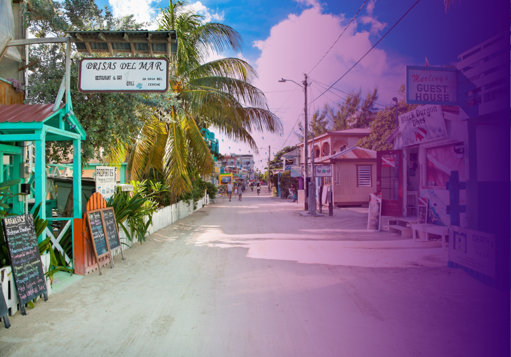 Belize Digitizes Business Registry | NRD Companies